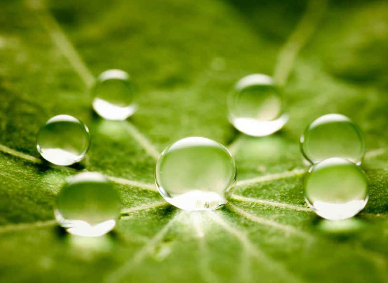 Digitaler Wandel in NPO